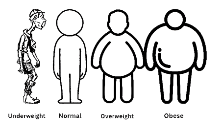Why BMI is Misleading: The Truth About Weight, Obesity, and Fitness ...